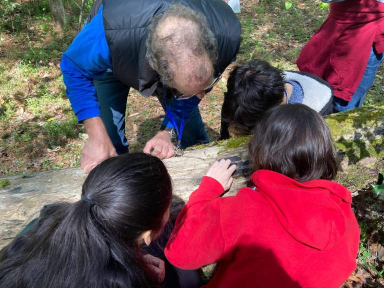 Into the Damp, Shady World of the Bryophytes - Research Blog
