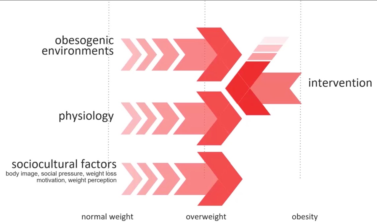 Carrying on Dr. King's Legacy: The Fight for Equity in Obesity ...