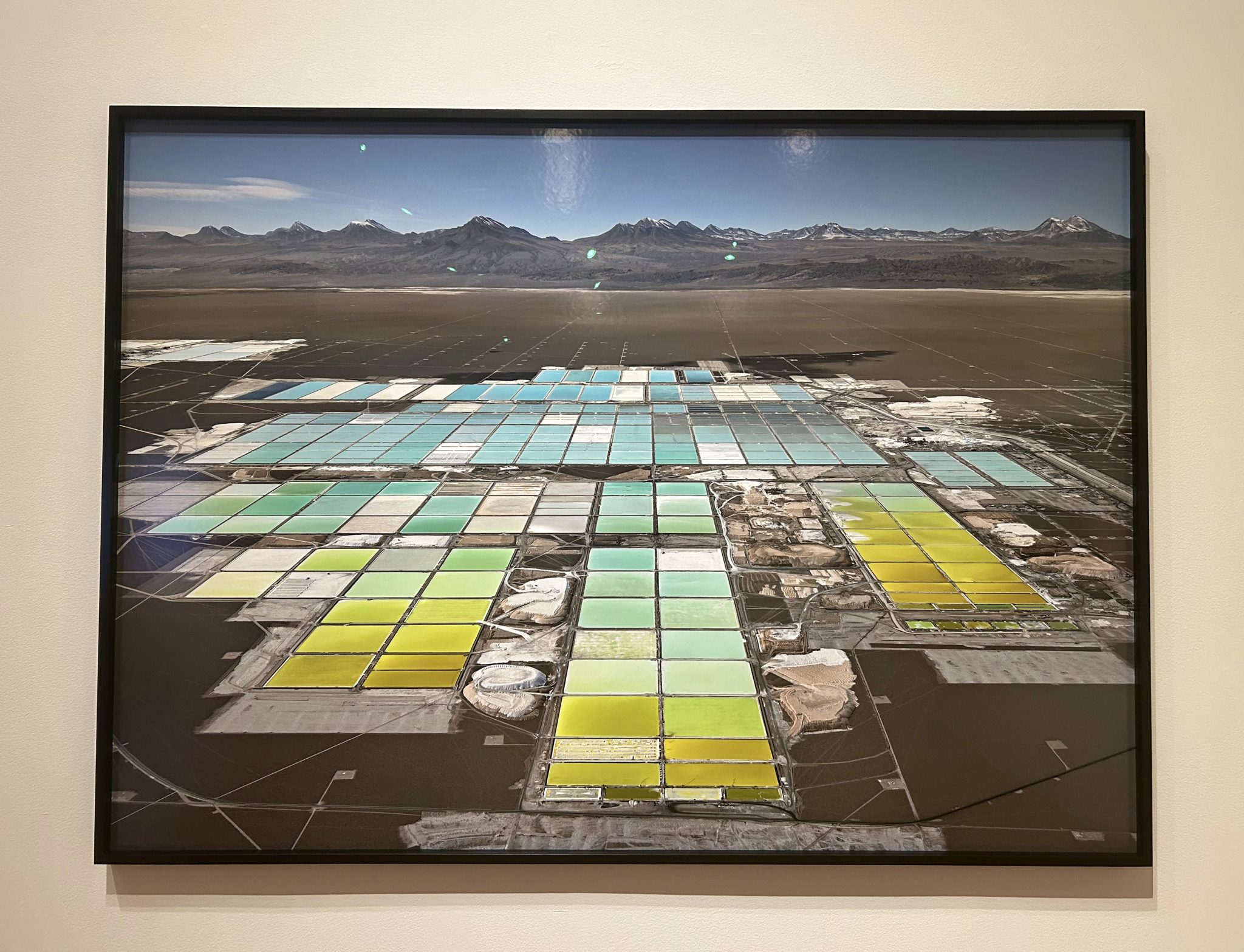 Art in the Anthropocene: A New Lens on Life - Research Blog